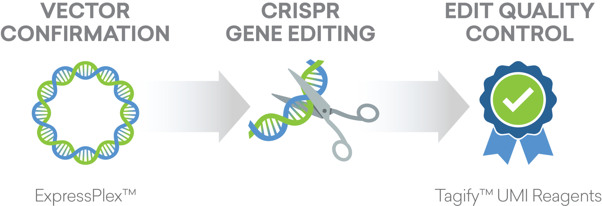 Gene Editing QC - Decode Science