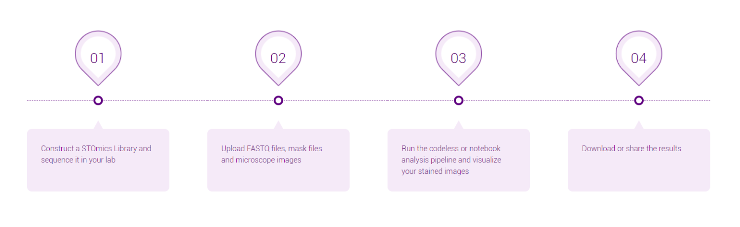 STOmics Archives - Decode Science