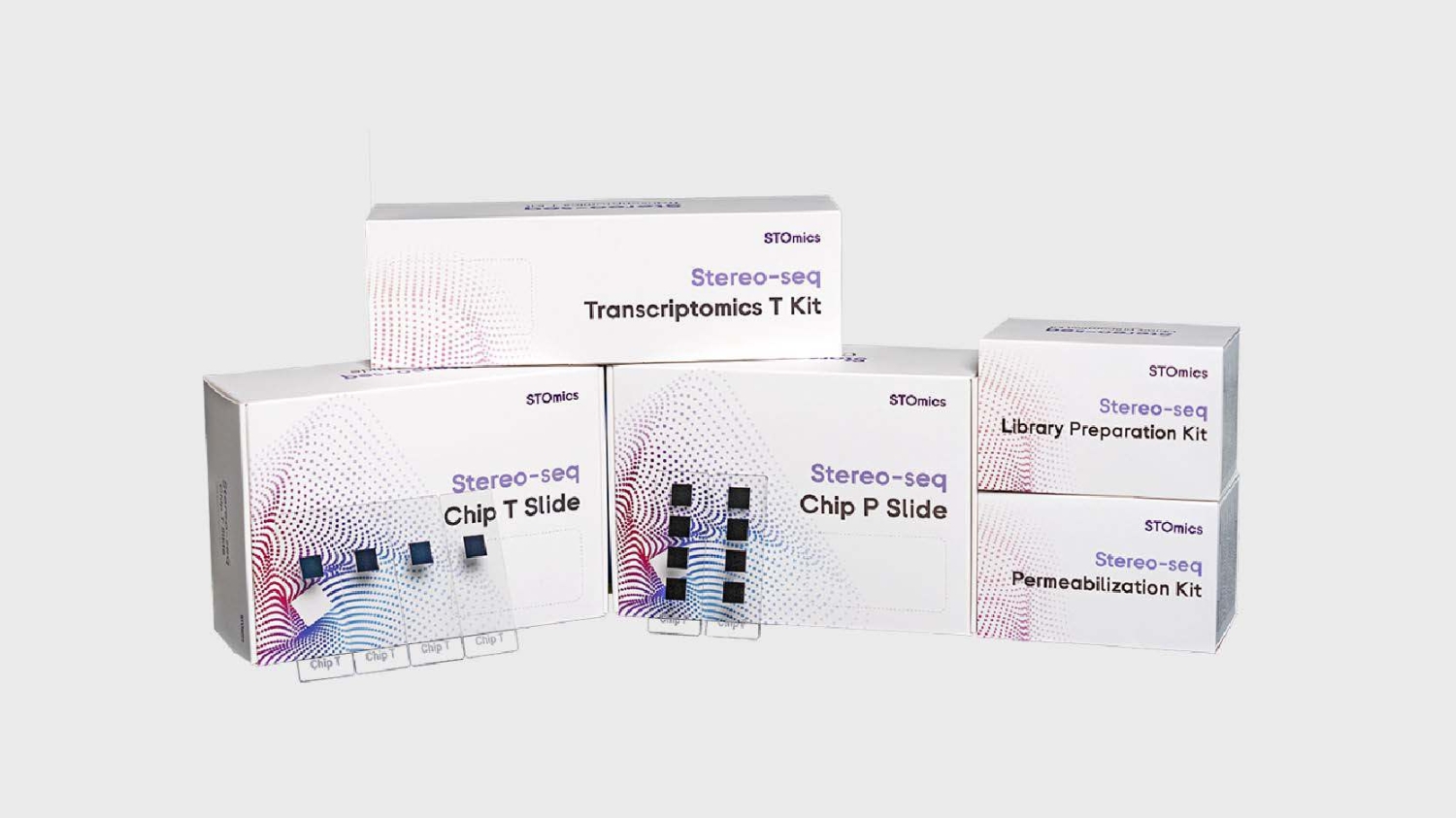 Stereo-seq Transcriptomics solution - Decode Science