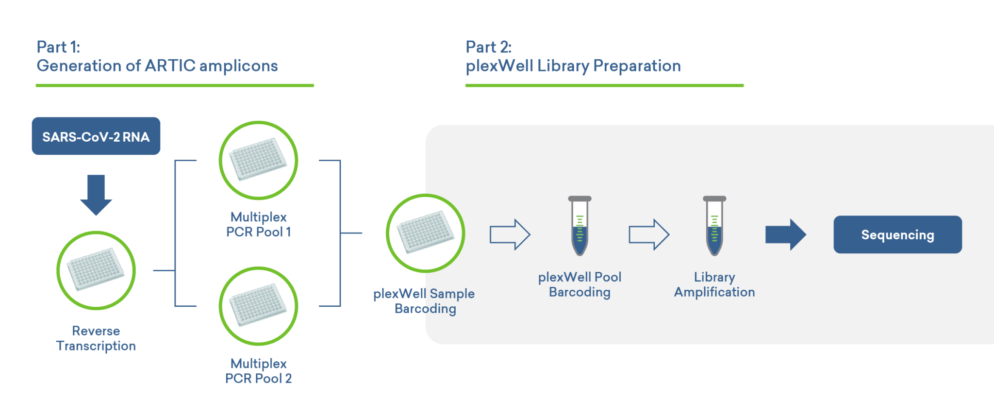 Microbial & Viral Sequencing - Decode Science