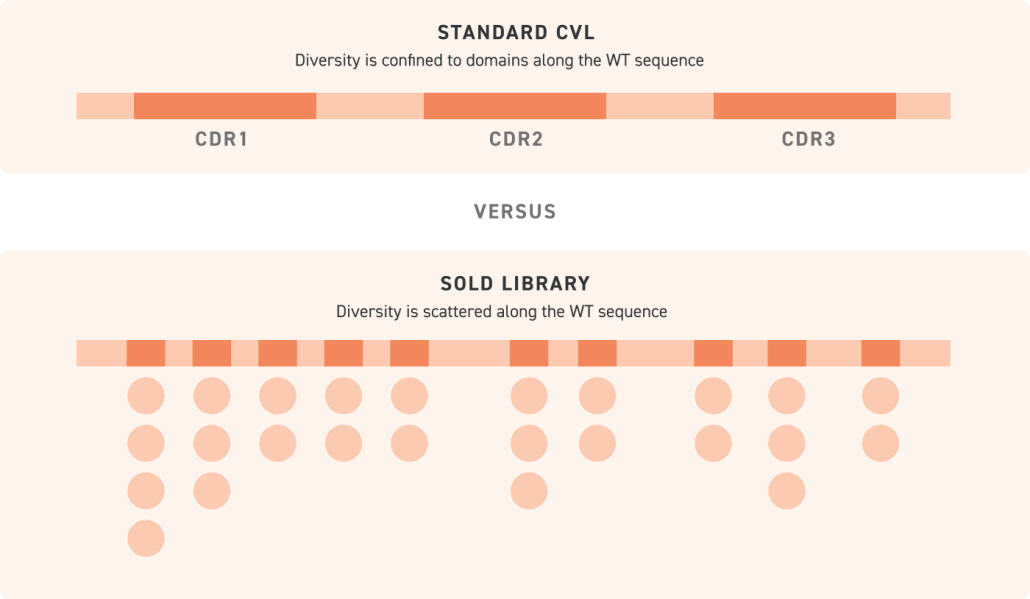 Spread Out Low Diversity Library - Decode Science