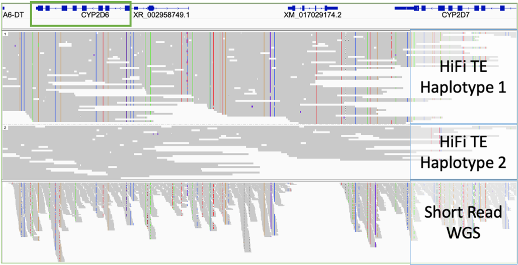 Long Read Sequencing - Decode Science Long Read Sequencing - Decode Science