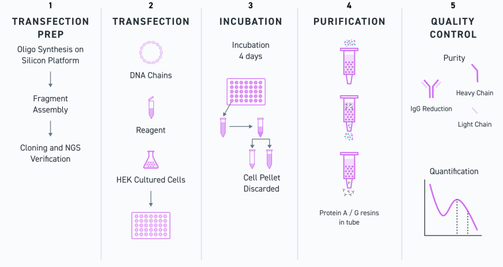 High Throughput Antibody Production - Decode Science
