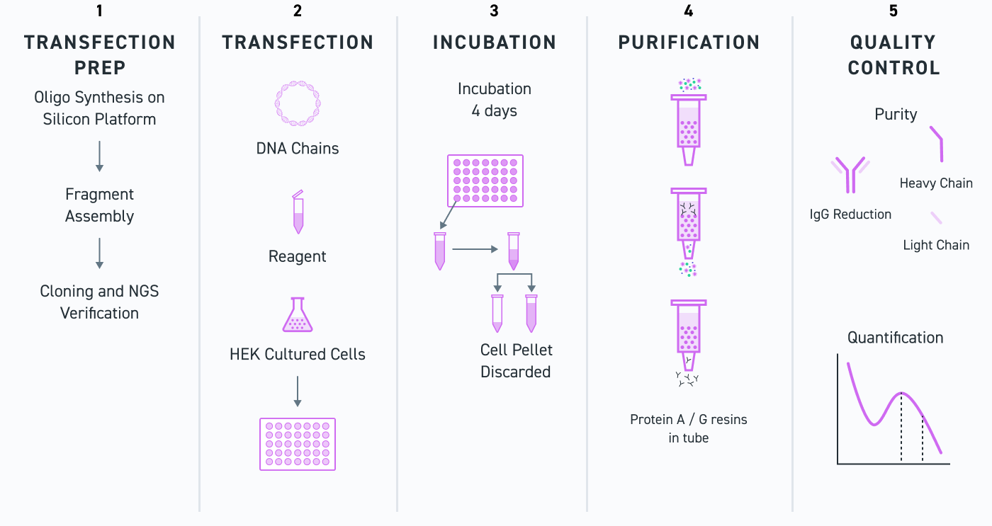 High Throughput Antibody Production Decode Science