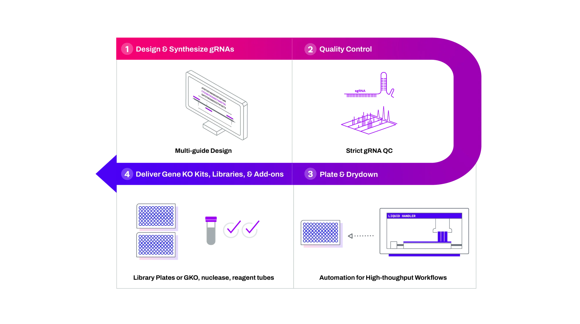 CRISPR Reagents - Decode Science